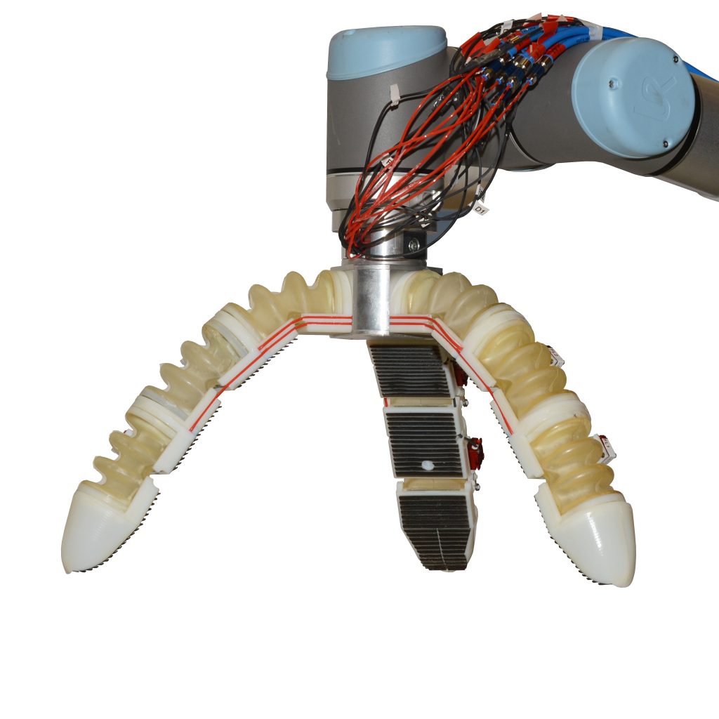 Best Practice: ein Kommissionier-Greifer nach biologischem Vorbild ...